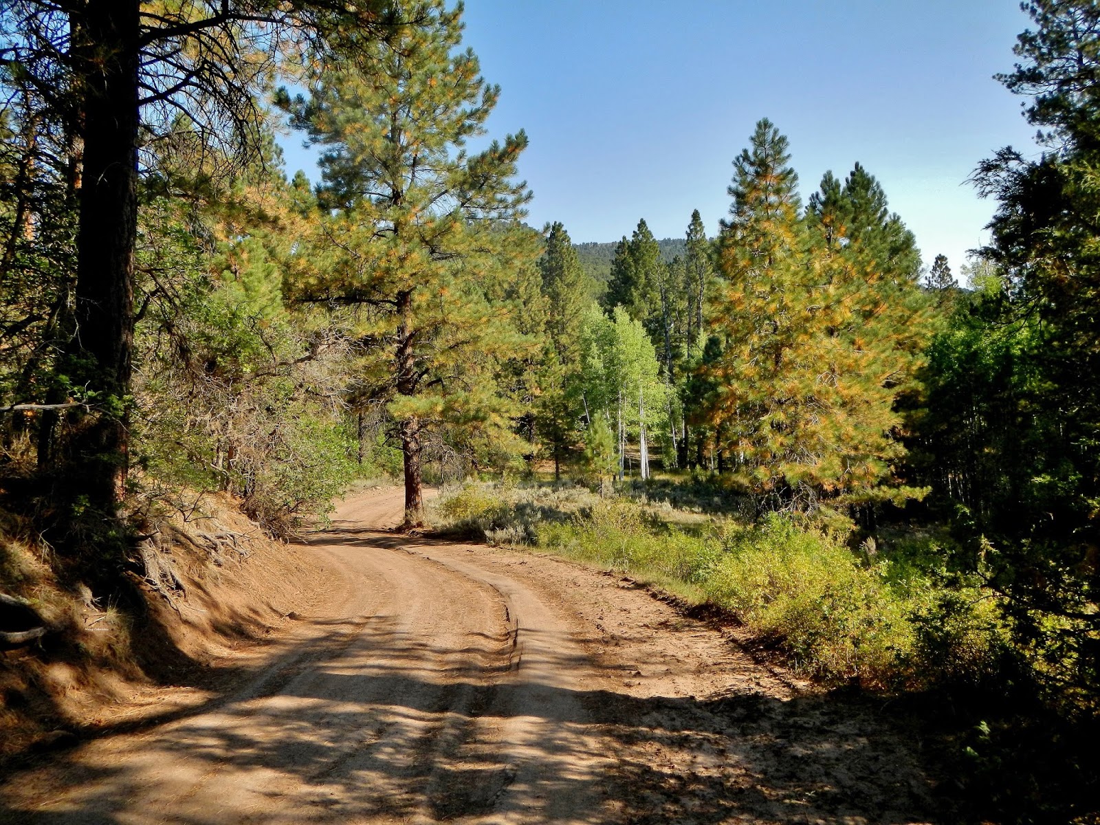 The Southwest Through Wide Brown Eyes: The Much Awaited Shay Ridge/Shay ...