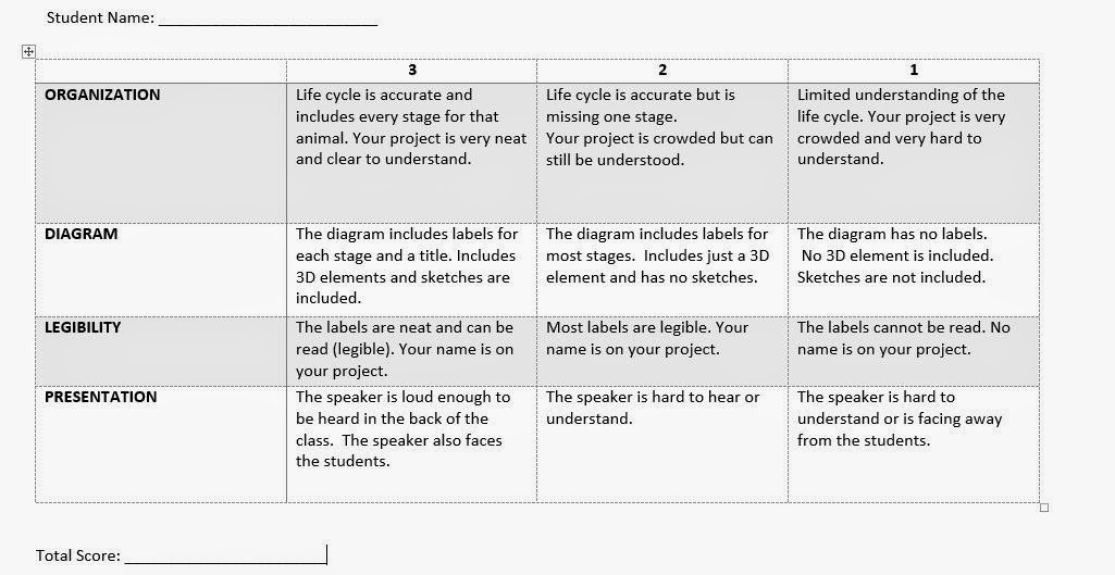 STEAMing Ahead with Susan: Finals Week in a STEM School: Part 2