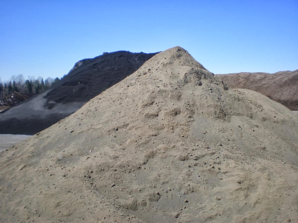 Biomass Industrial Innovative Projects: Focus on Biomass Ash