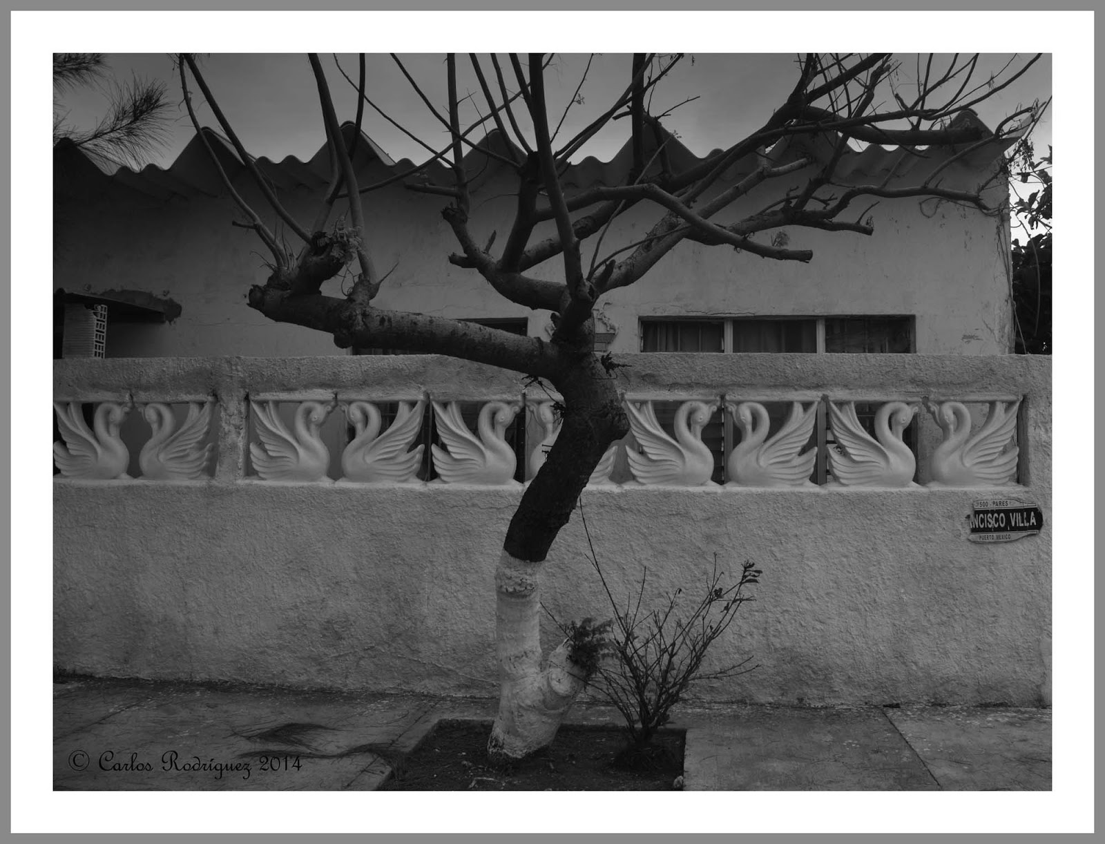 13 tips para crear fotos inusuales - Carlos Rodríguez Fotógrafo Blog