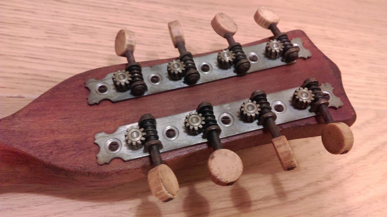 Zither Mandolin Banjo Restoration: First Impression