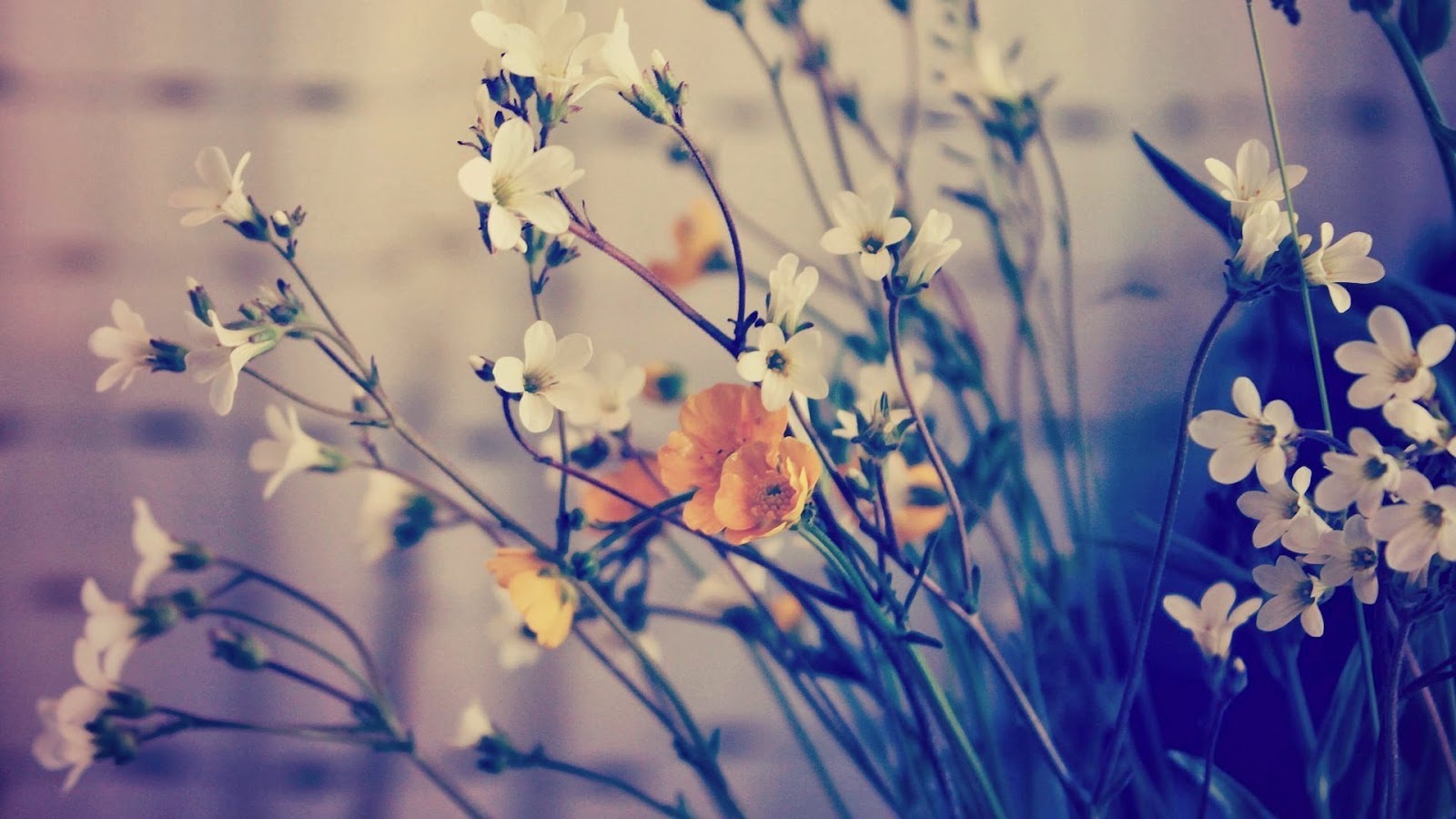Wallpapers de flores vintage - Imagui