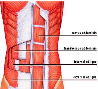 Great Shape Fit Club: Fitness Model Midsection - Concita's Top 5 Tips