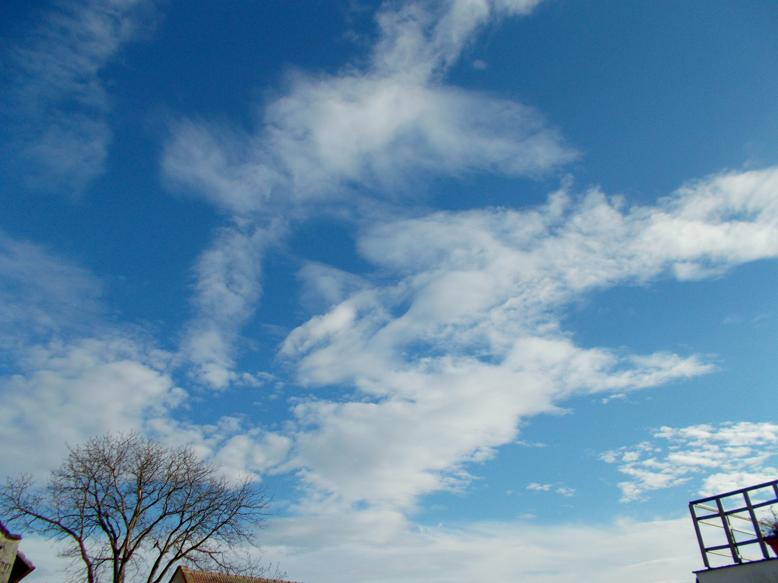 tak trochu vyzobaná slunečnice: hledám nebe jako od Simpsonových