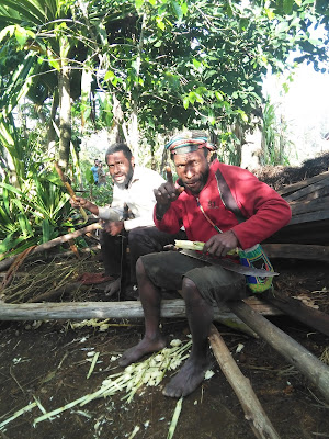 THE ENPOSE PNG: Back to the roots-up in the Highlands of Papua New ...