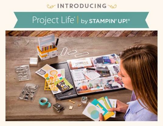 Scraps'! by Diana: Introducing Project Life by Stampin' Up!