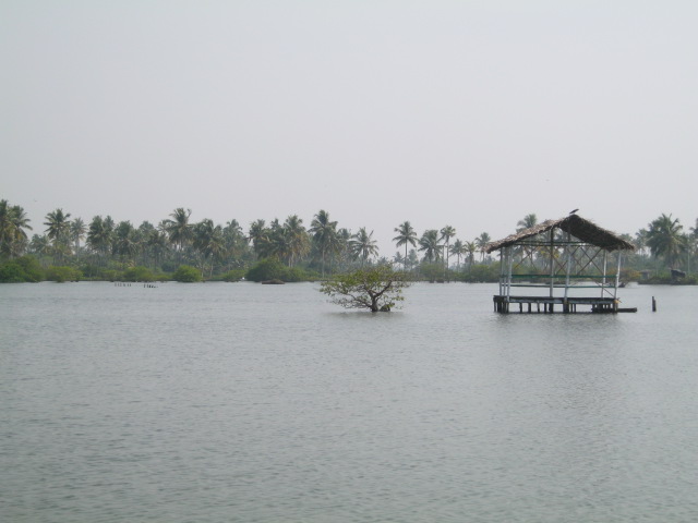 YAATHRA യാത്ര: Matsyafed Fish Farm, Narakkal,Ernakulam,Kerala