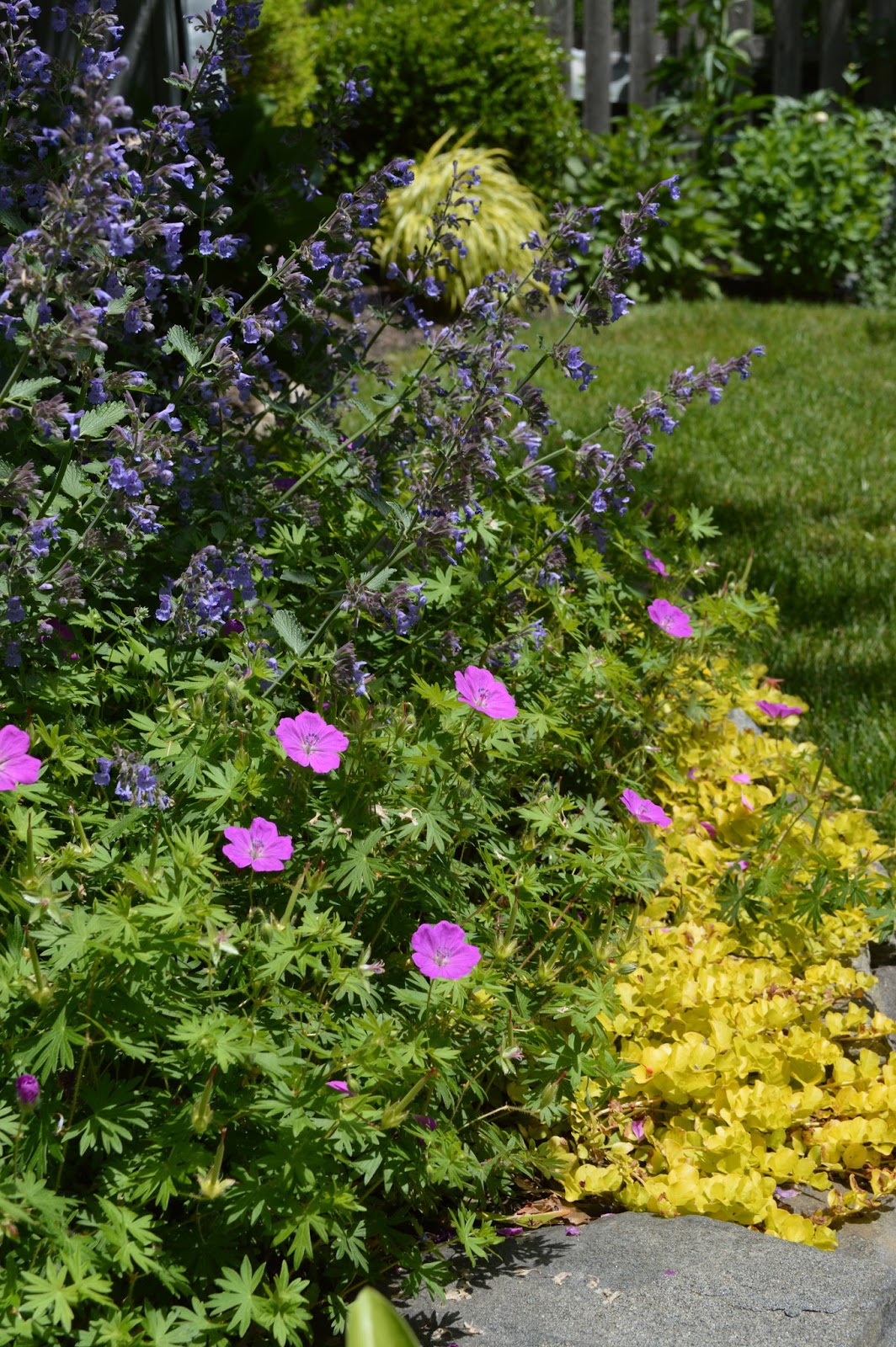 Summerland Homes & Gardens: Evening in the Garden