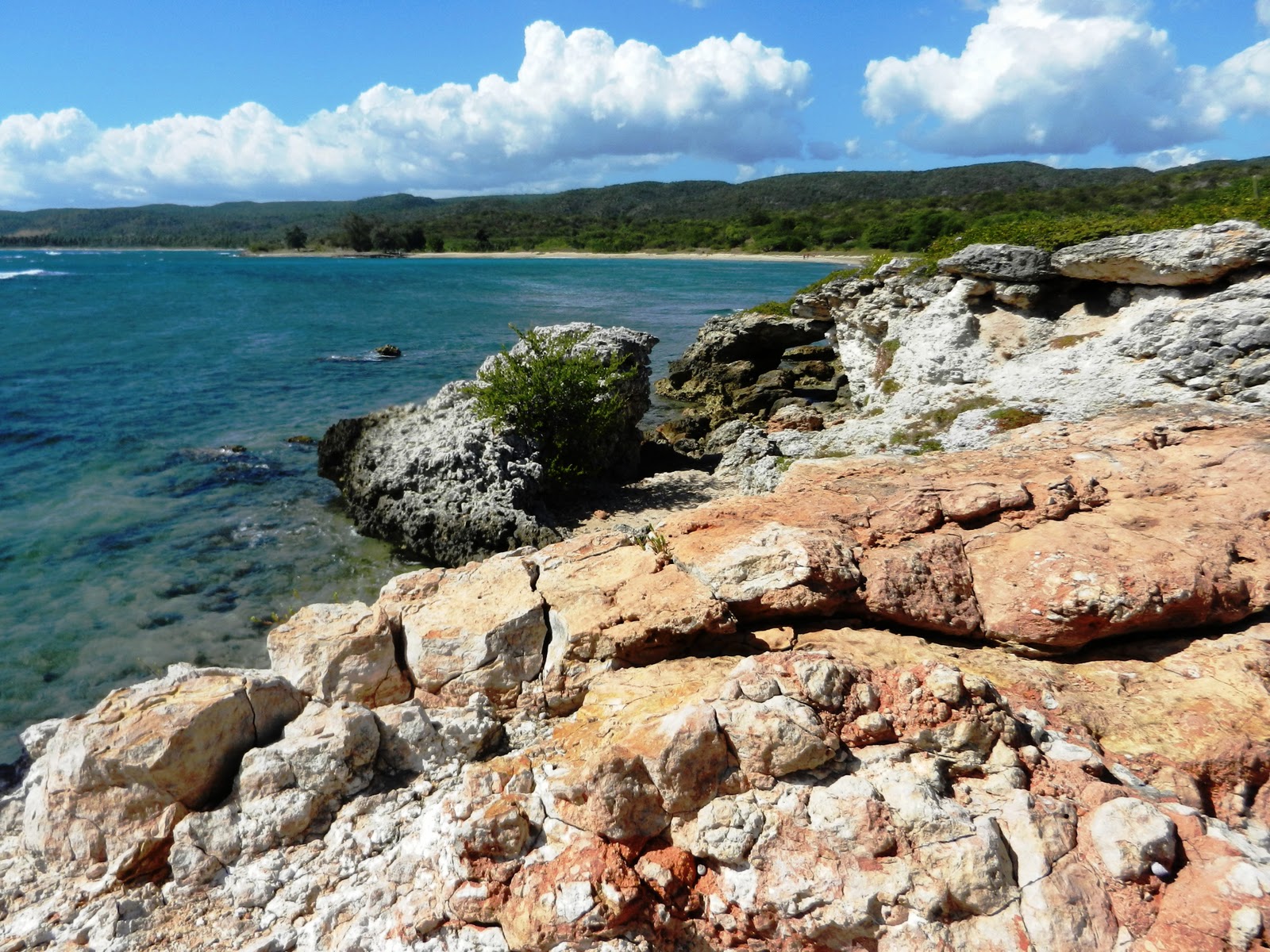 TM Gallery: Guanica Nature Reserve