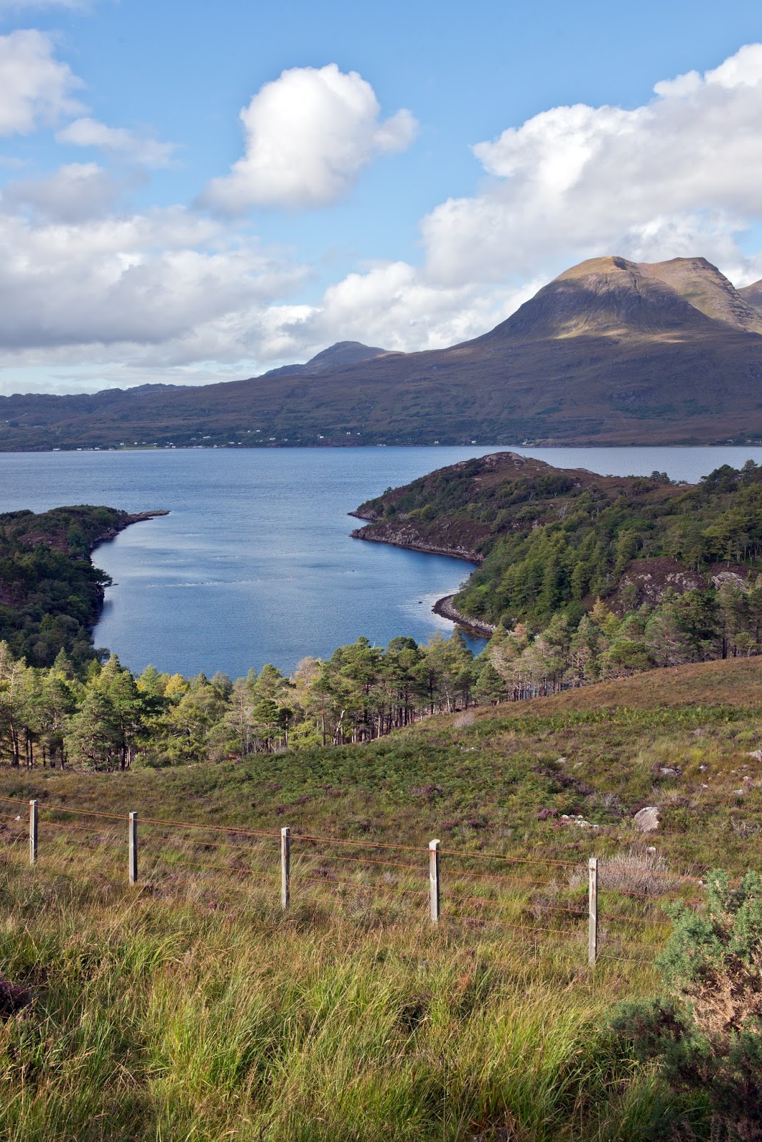 Wigtwizzle - Norman Smith's Travel Blog.: Going Home