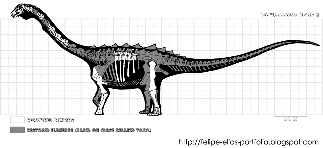 FELIPE ALVES ELIAS - Portfolio: Tapuiasaurus macedoi (2011)