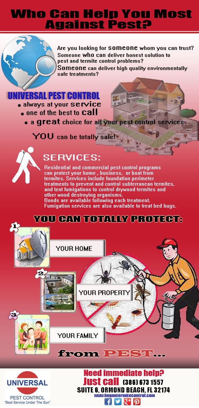 Bug and Termite Control: Who Can Help You Against Pests?