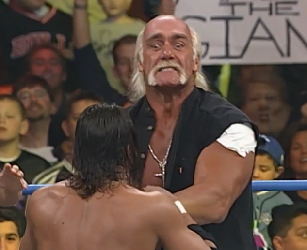 Hulk Hogan Wcw 2000