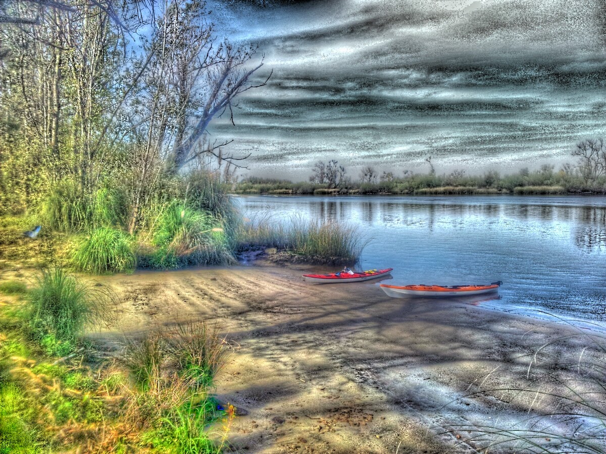 Kayaking the California Delta: Lost Isle, Spud and Hog Island