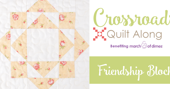 Down Grapevine Lane: Crossroads Quilt Along: Friendship Block