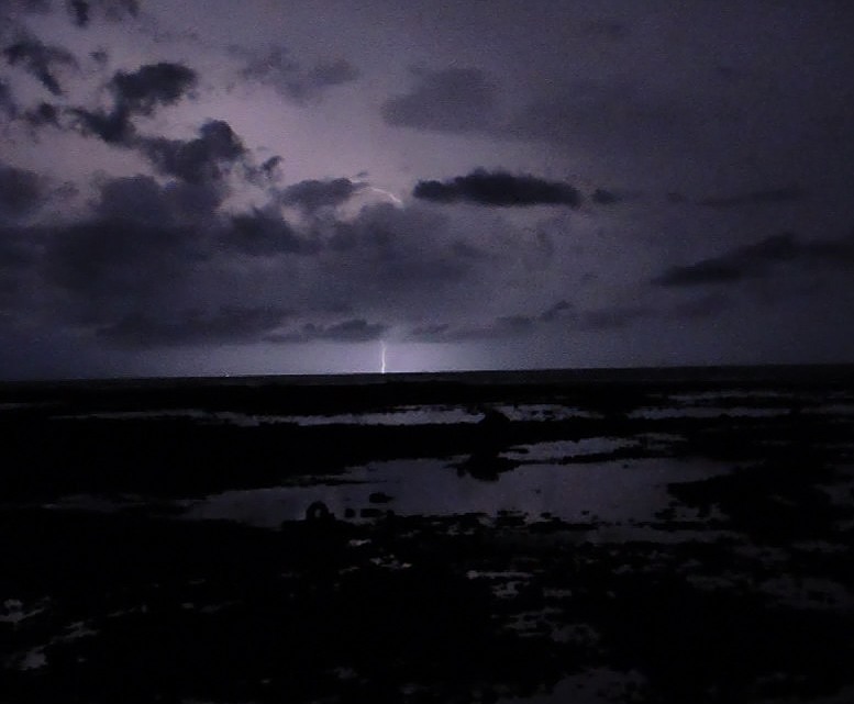 Lost in the Jungle: A stormy night and a clear night at the beach