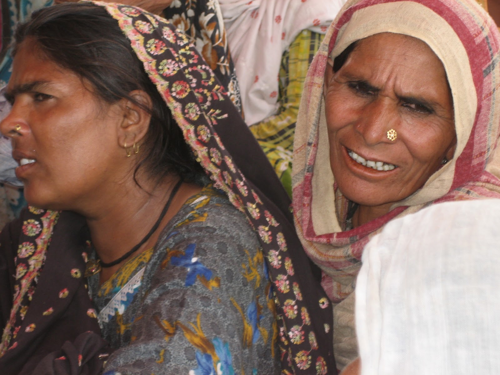 The "Nord-Indid" phenotype. - Page 5