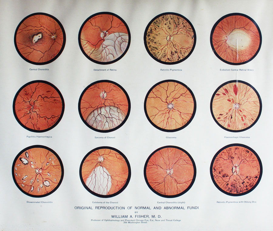 Medical Paraphernalia