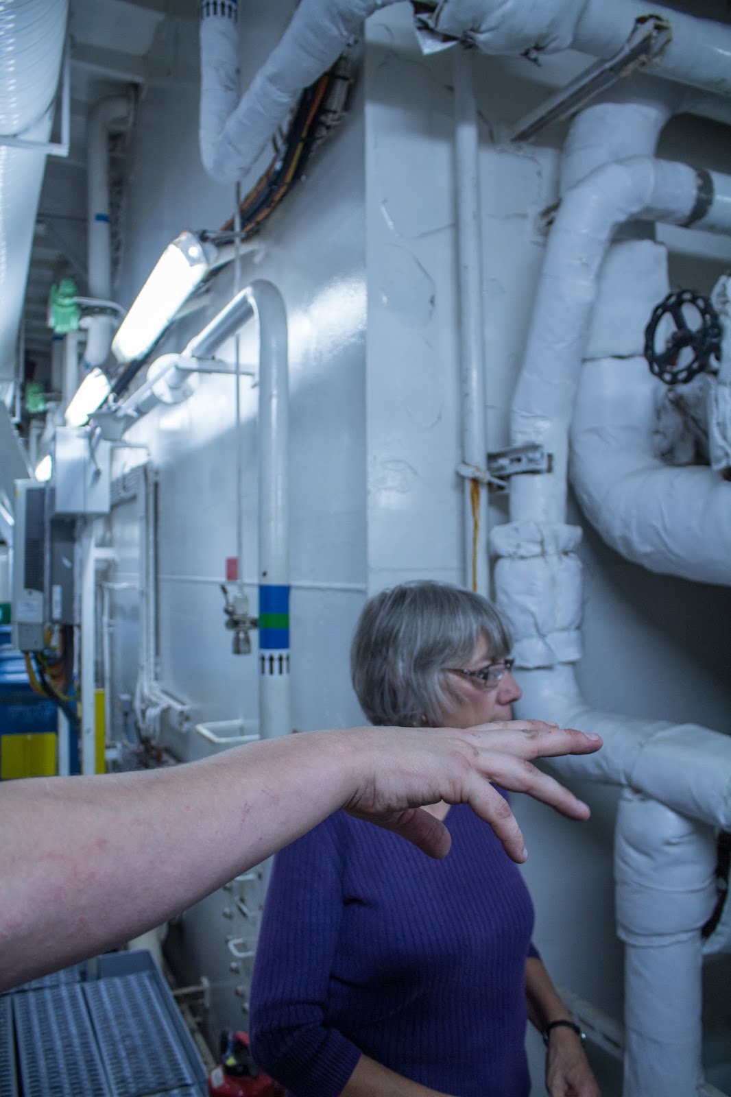 Katfish Kapers: MS Veendam - How a ship works