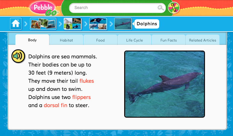 The Library Voice: Creating Lifelong Learners With Music, Stories ...