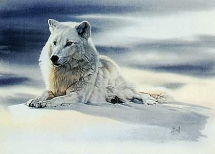 White Wolf : Al Agnew : Great American Artist and Conservationist