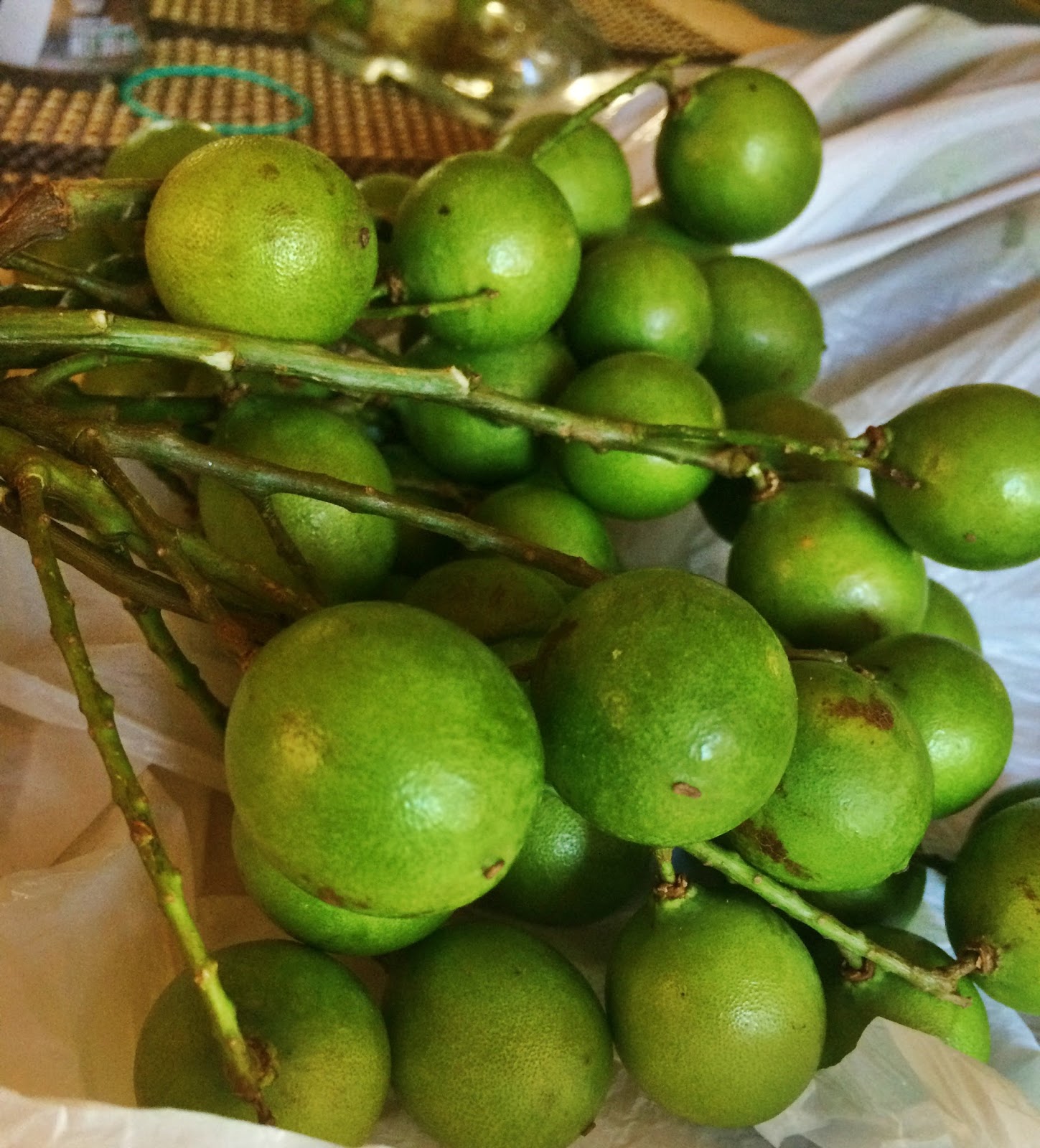 My First Chenette In 2 Years | Hannah Ra