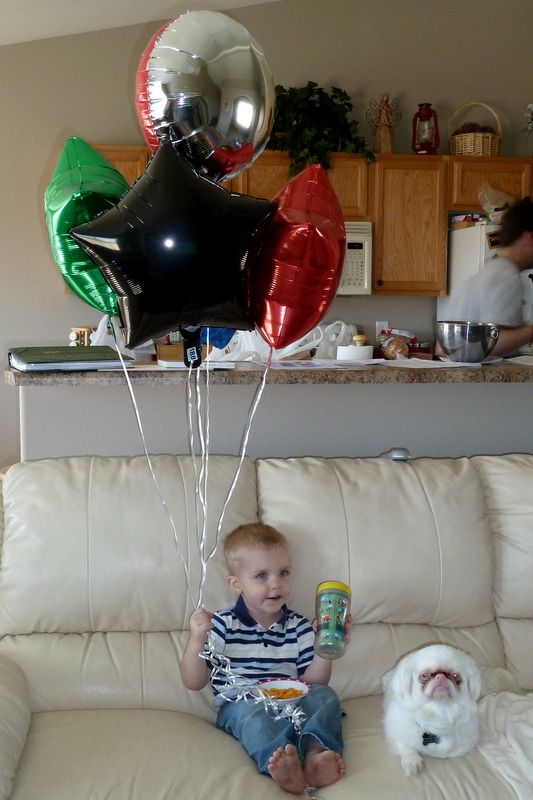 One Happy Family: Kyle Turns 2!!!