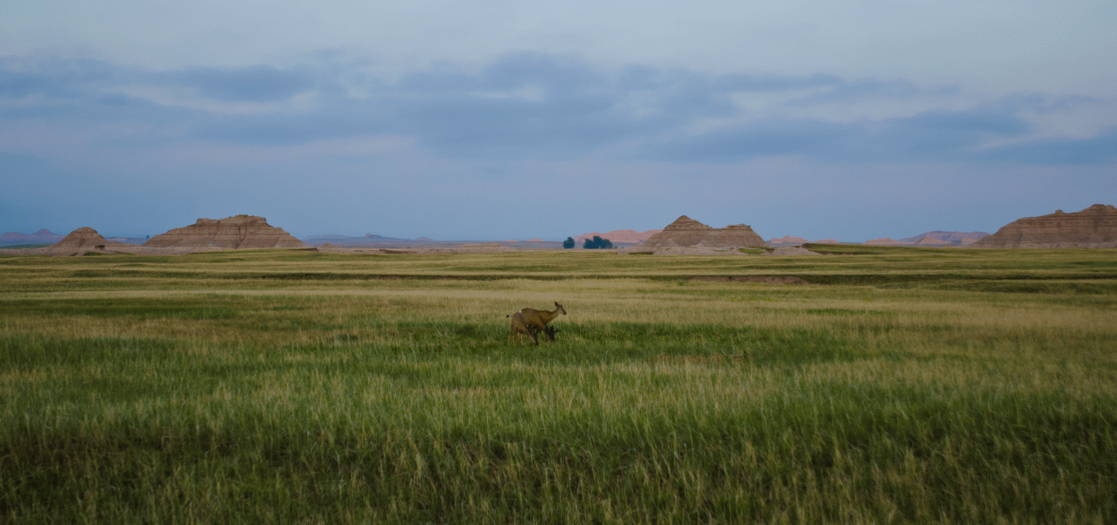 Journeys With Judy: Badlands National Park South Dakota