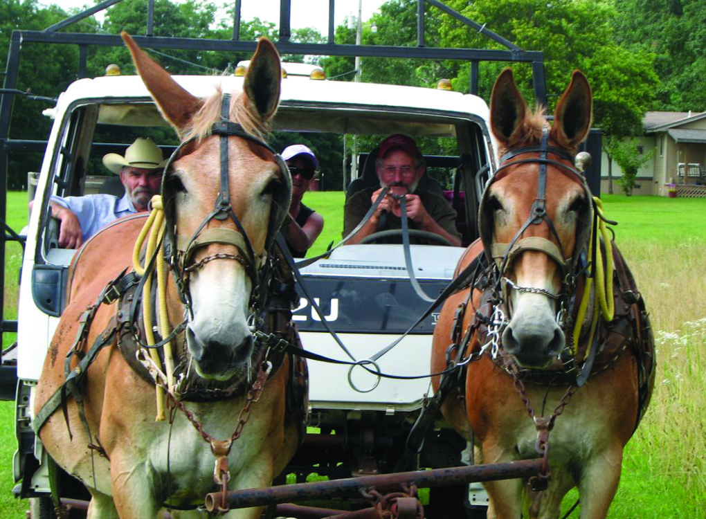 Mules and More Magazine: MULE POWER: Tonto’s New Triple S Training Wagon