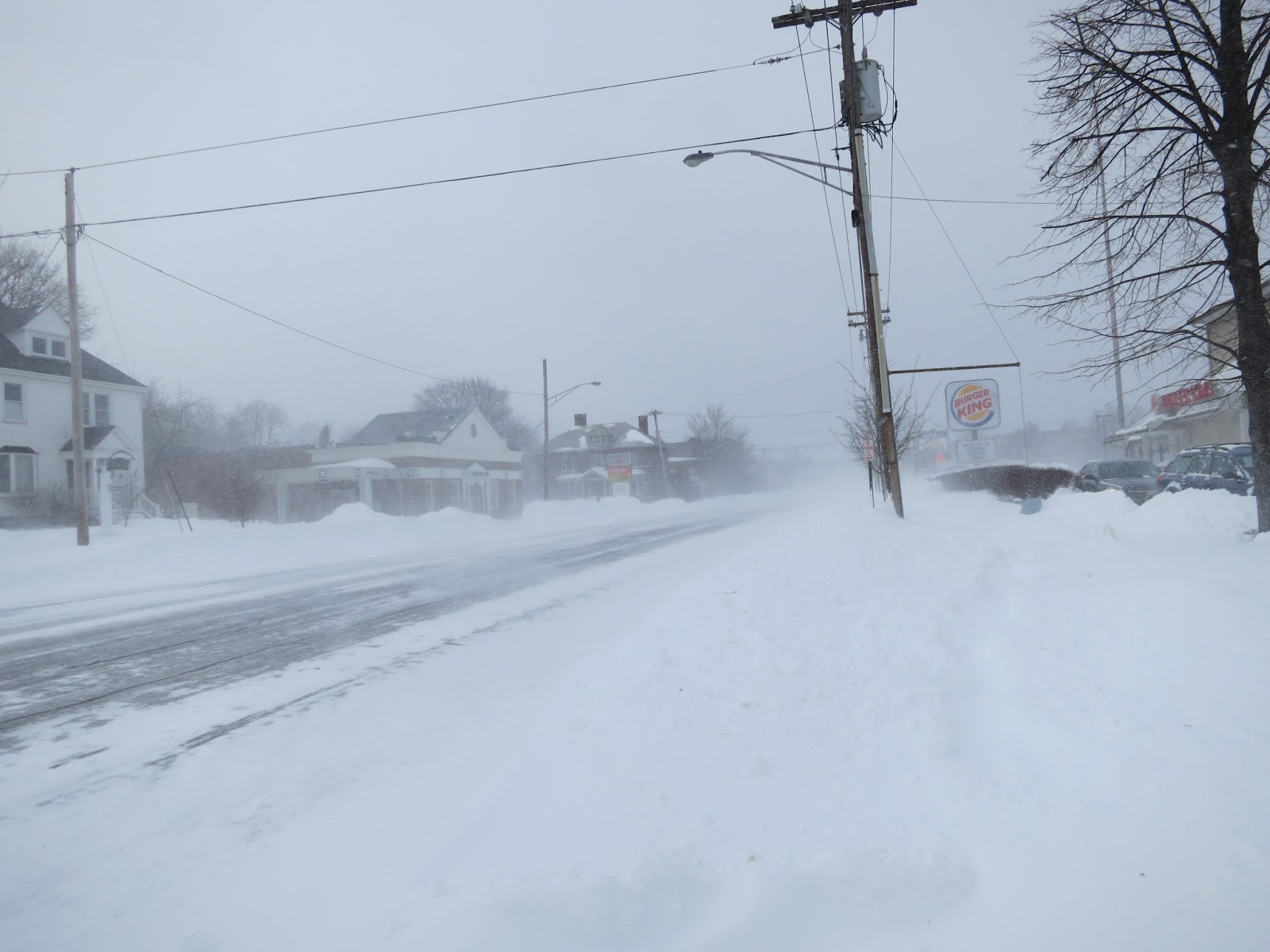 haphazard musings and creations: blizzardy blizzard.