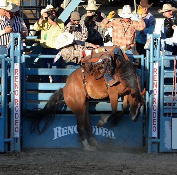 Random Images from a Nightowl: June 2011