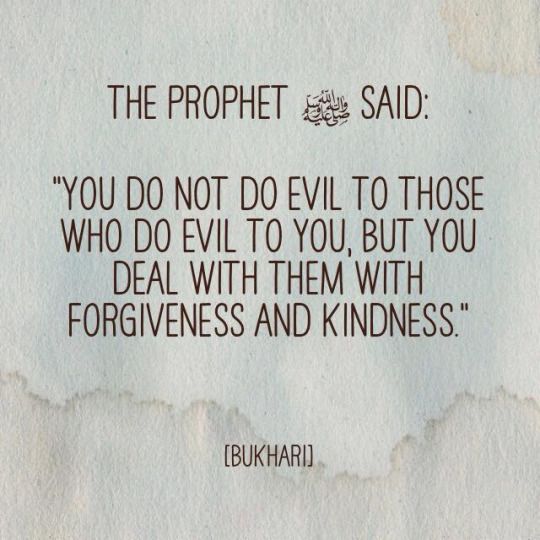 Islam Daily: "You do not do evil to those who do evil to you, but you ...