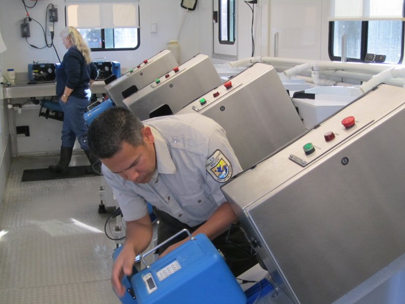 The Dish on Fish: Marking and Coded-Wire tagging at Winthrop NFH