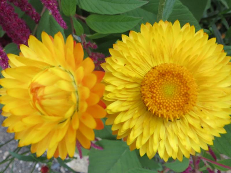 Alaska 2013: Alaska Day 72 - 73 Fairbanks to Chena Hot Springs