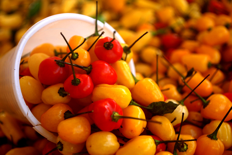 Flavors of Brazil: Pimenta de Cheiro - A Problem of Identification