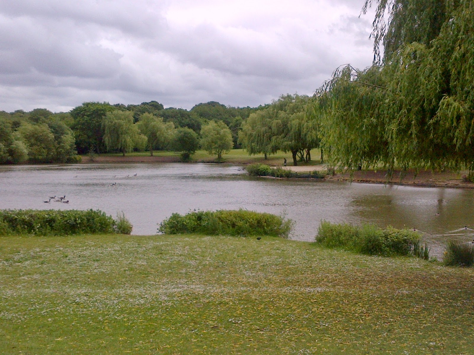 Hope & Chances Creativity: June 2013