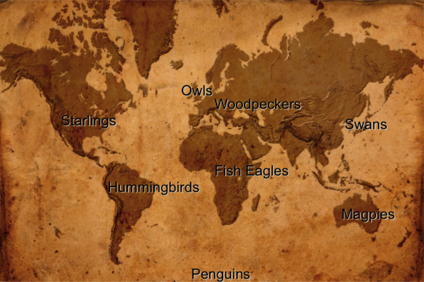 Book of Flight: World Bird Map