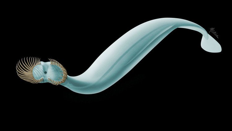 Kẻ săn mồi không mặt, đầu 50 gai thời tiền sử - Ruby Book Origami