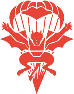 Irvin Delta II Parawing: Links