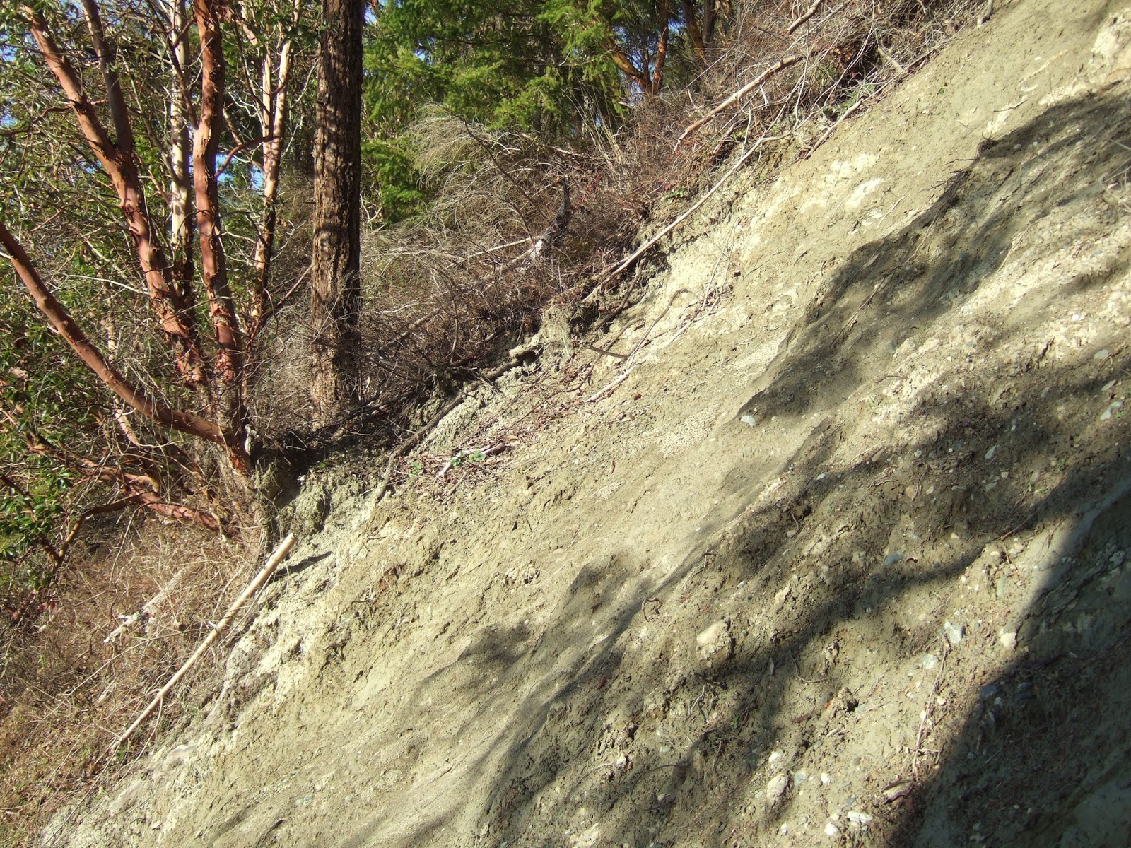 Reading the Washington Landscape: Shallow Soil Slab Failure