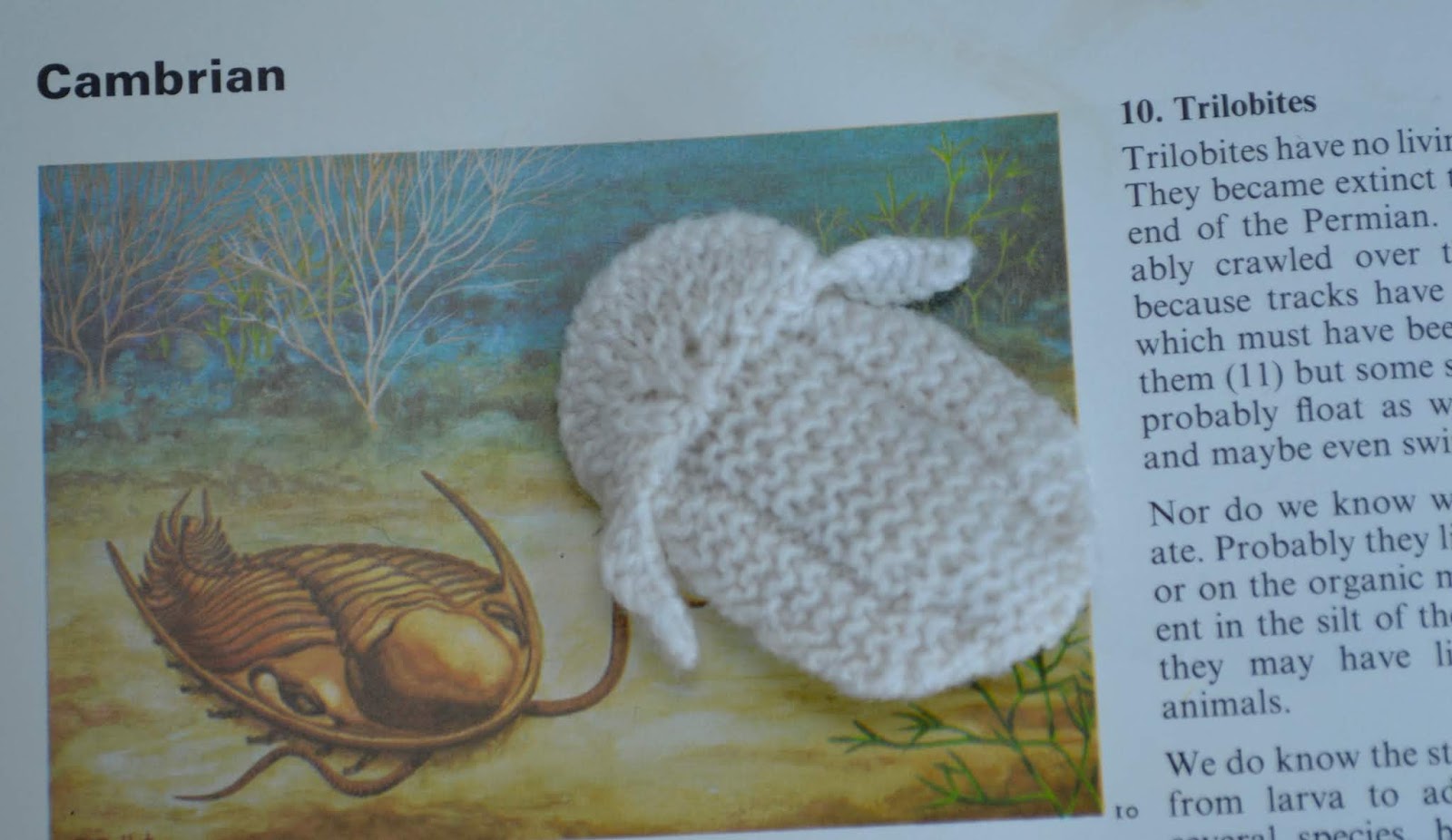 Ginx Craft : Trilobite