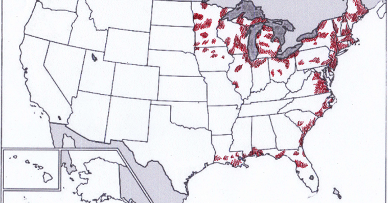 Think Global, Garden Local: Wild Rice