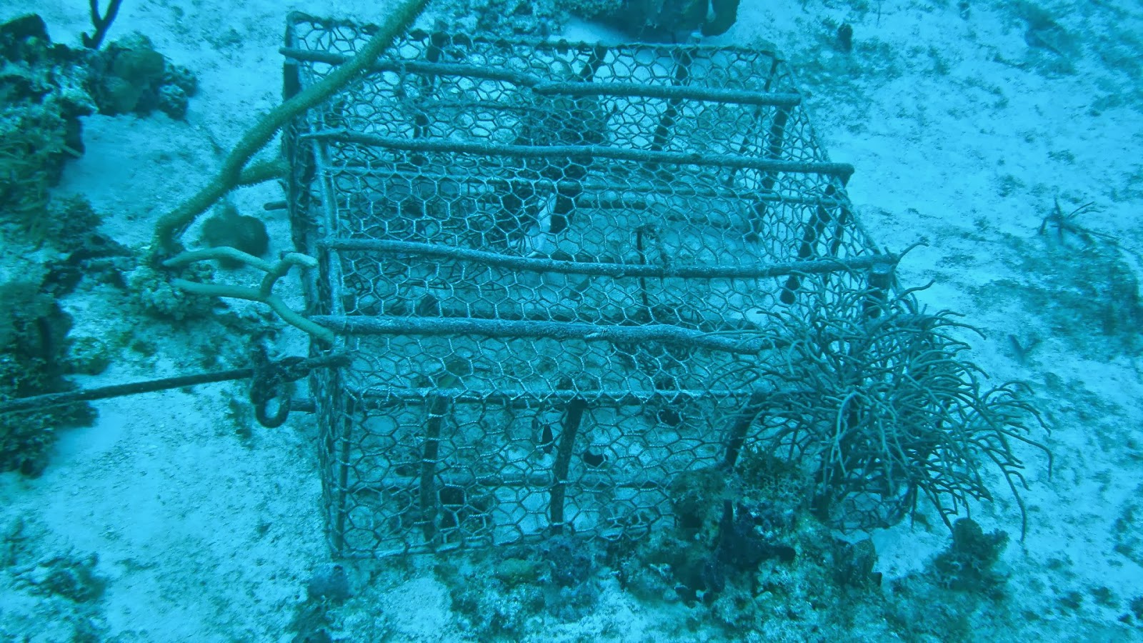 Antilles 2013 - 2014: November 2013