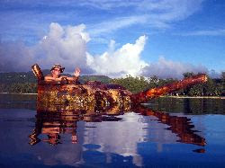 Saipan Pictures: Sherman Tanks