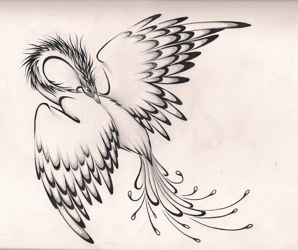 GRIFFE TATTOO: FENIX TATTOO