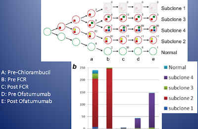 Dr. Sharman's CLL & Lymphoma Blog: clonal evolution part 2
