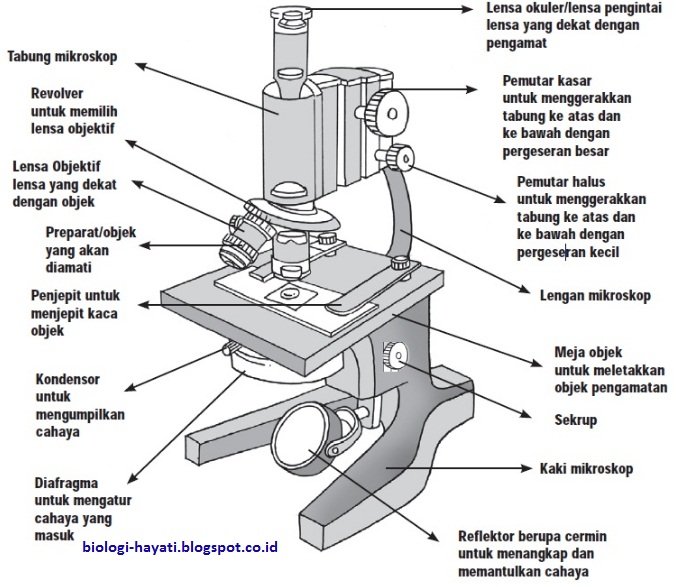 Jenis-jenis, Bagian-bagian dan Cara Menggunakan Mikroskop