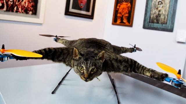 Orvillecopter : Kucing Mati yg dijadikan Helikopter | Info Smart dan ...