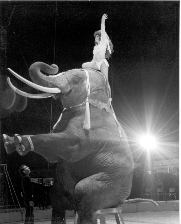 The Circus "NO SPIN ZONE": 04/25/12