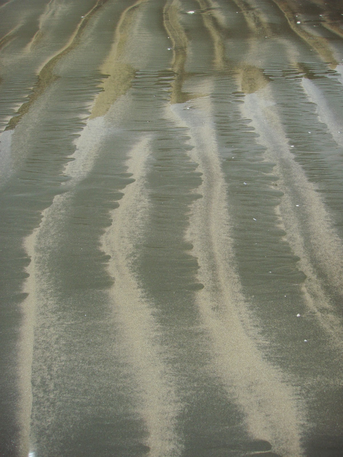 curving back: undulating swash